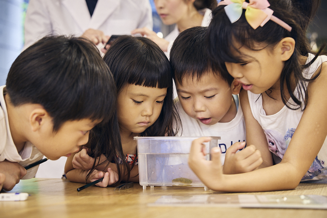 Aramco supports community coral conservation | Aramco Japan